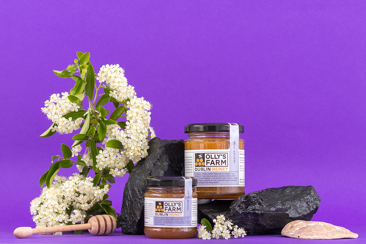 Olly’s Farm | Creativerin Design