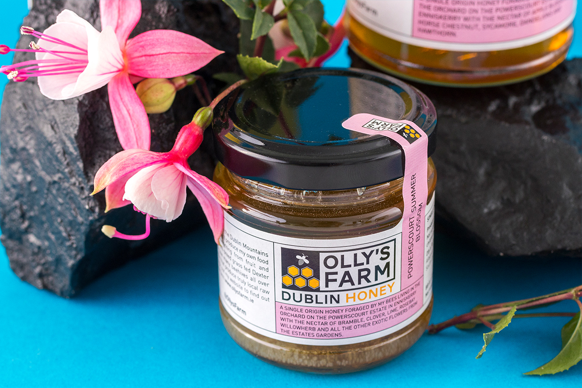 Olly’s Farm | Creativerin Design